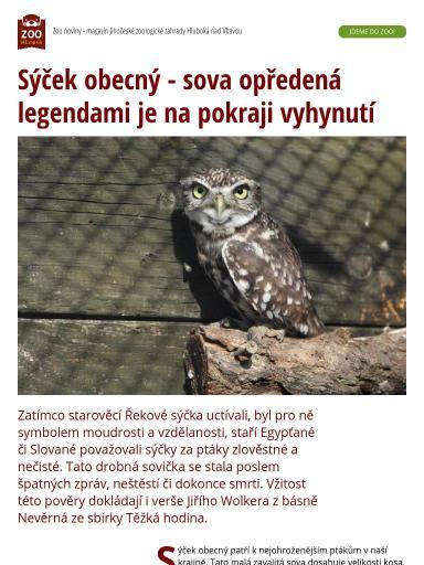 Sýček obecný | 02/2023 | Zoo noviny